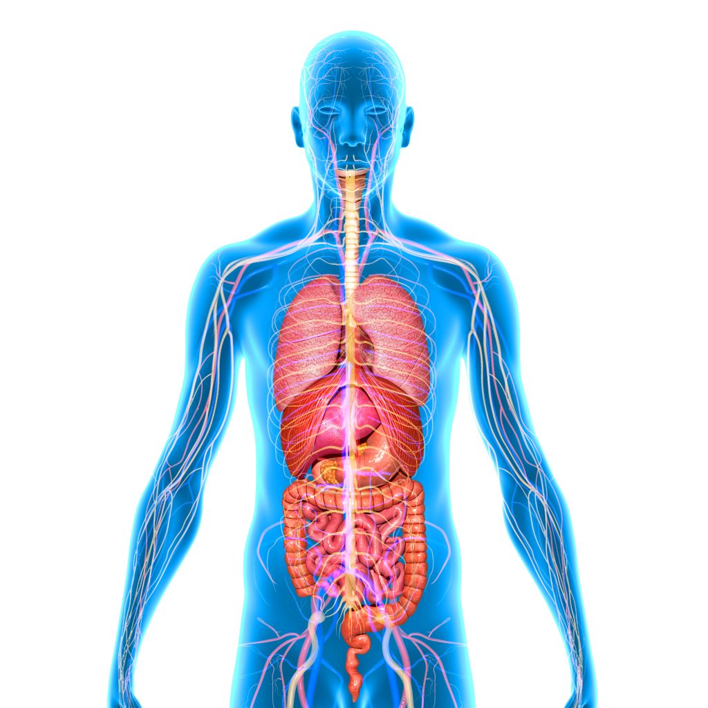 Why Functional Medicine Is Important FxMed Centers Why Functional Medicine Is Important FxMed Centers